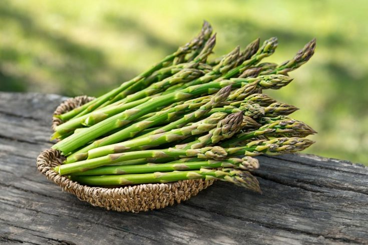Vegetable With Long Names: Basics About 11 Vegetables