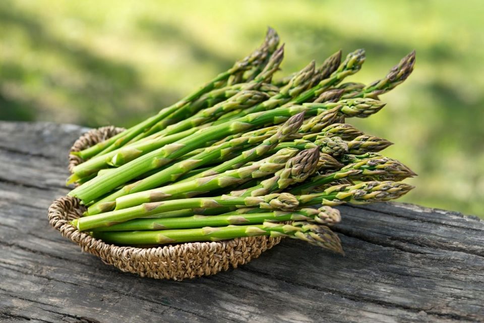 Vegetable With Long Names: Basics About 11 Vegetables