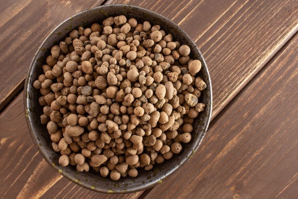 Why Every Plant Owner Needs Leca in Their Life (And How to Use It ...