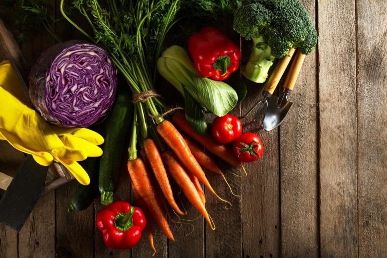 Vegetable With Long Names: Basics About 11 Vegetables