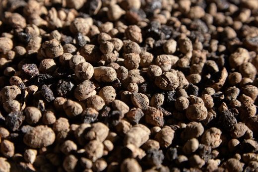 Leca For Plants: Lightweight Expanded Clay Aggregate - Plantisima