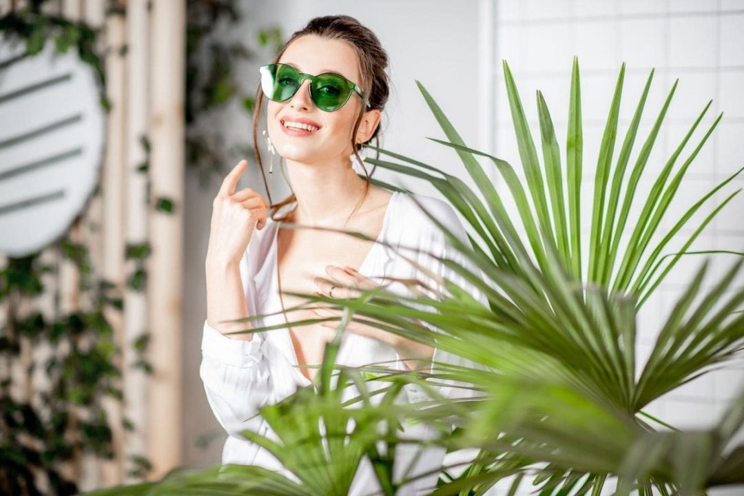 Indoor Trees Low Light: 9 Indoor Trees That Require Low Light - Plantisima