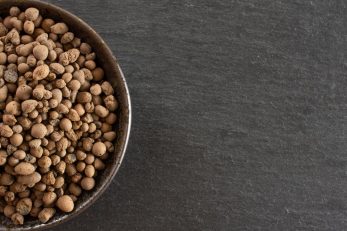 Leca For Plants: Lightweight Expanded Clay Aggregate - Plantisima