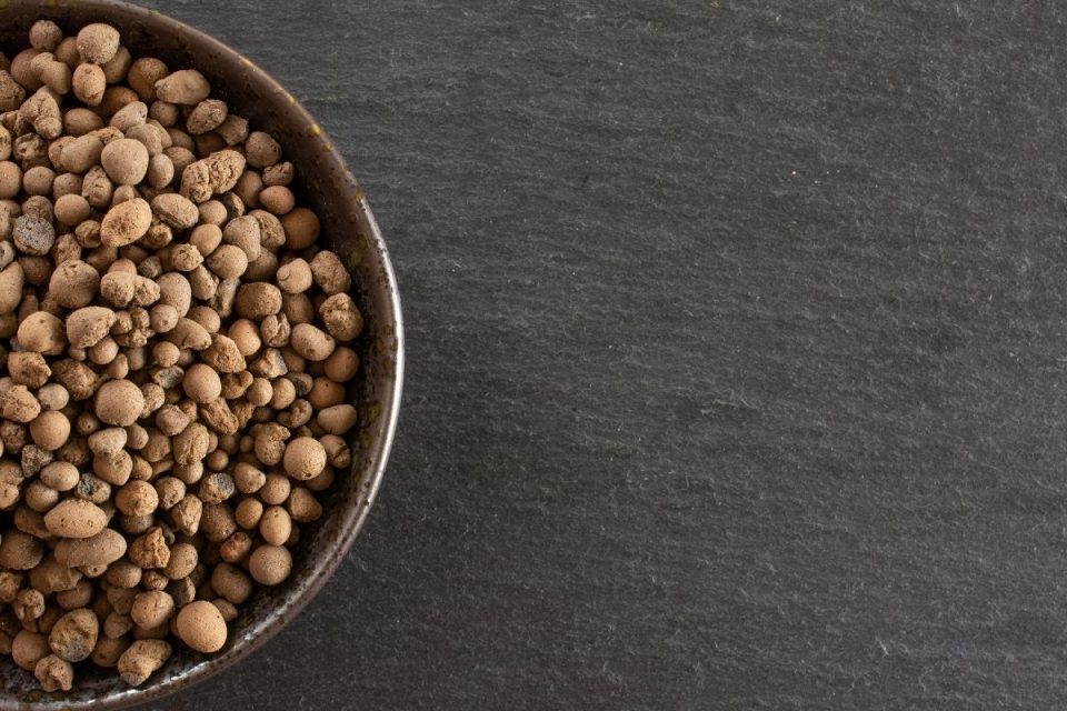 Why Every Plant Owner Needs Leca in Their Life (And How to Use It ...