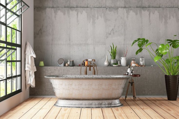 14 Best Bathroom Plants That Absorb Moisture - Plantisima