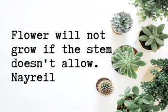 115 Quotes That Reflect How Plants Respond to Love and Care