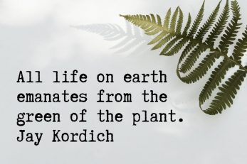 Plant Quotes: 115 Plant Respond In Quotes - Plantisima