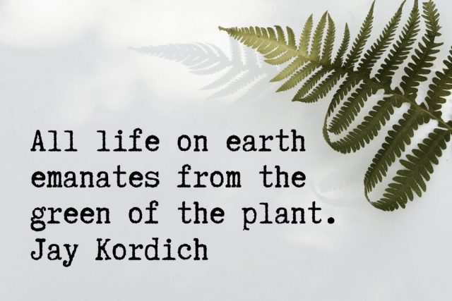 Plant Quotes: 115 Plant Respond In Quotes - Plantisima