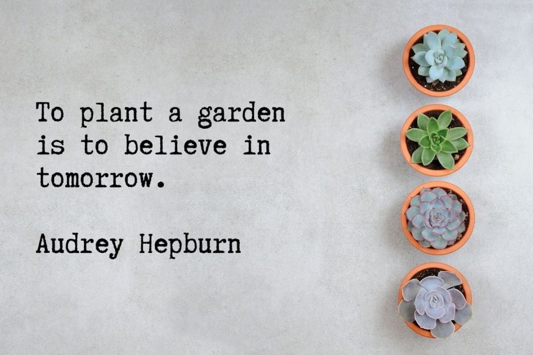 Plant Quotes: 115 Plant Respond In Quotes - Plantisima