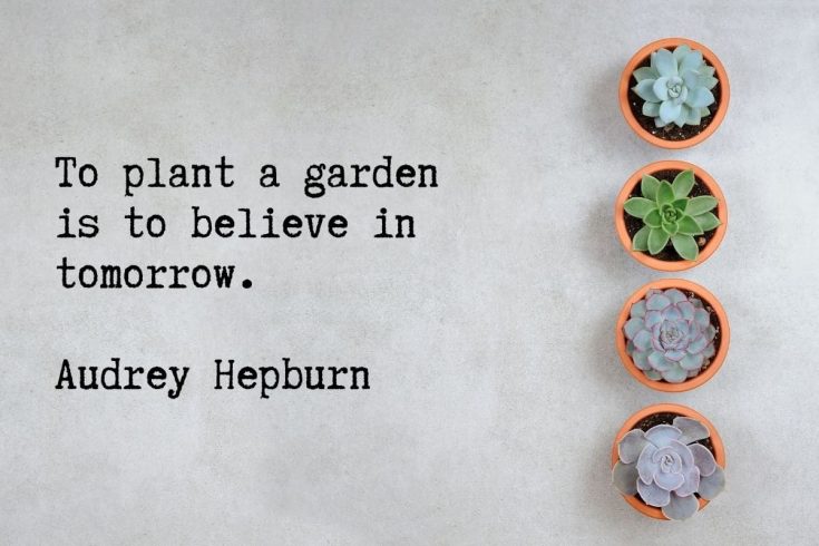 Plant Quotes: 115 Plant Respond In Quotes - Plantisima