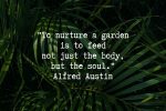115 Quotes That Reflect How Plants Respond to Love and Care