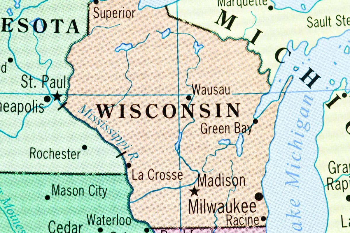 9 Most Wonderful Types Of Pine Trees In Wisconsin - Plantisima