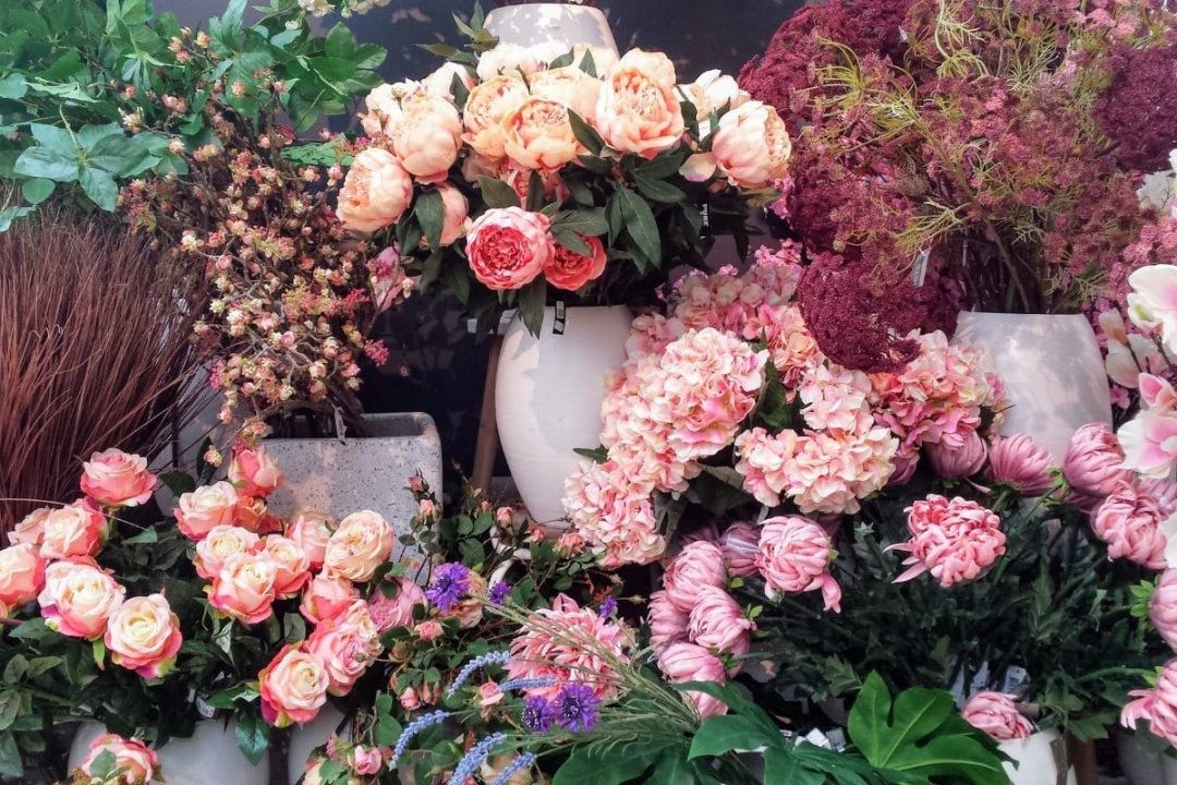 The Amazing Story Behind The National Flower Of Dominican Republic ...