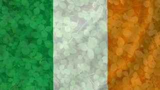 National Flower Of Ireland: Good Luck Charm Shamrock Plant - Plantisima