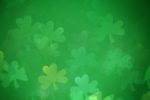 National Flower Of Ireland: Good Luck Charm Shamrock Plant