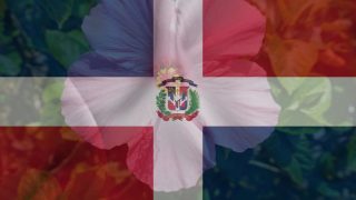 The Amazing Story Behind The National Flower Of Dominican Republic ...