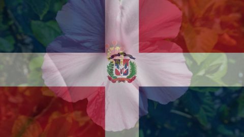 The Amazing Story Behind The National Flower Of Dominican Republic ...