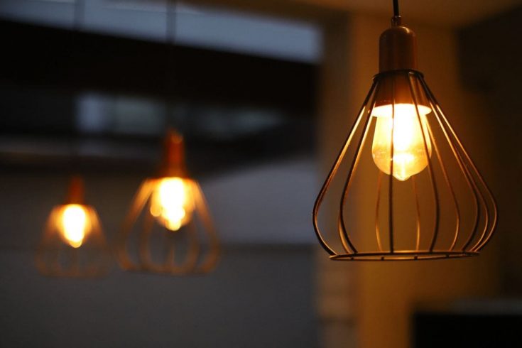 Can Plants Grow With Artificial Light? Let's Find Out! - Plantisima