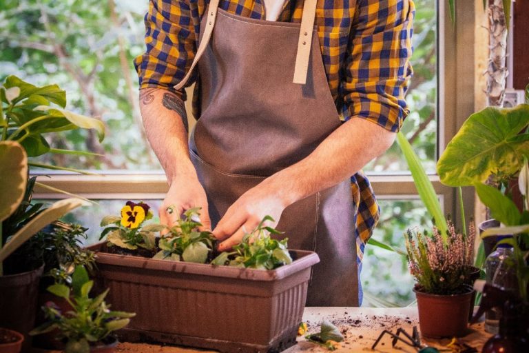 5 Ways On How To Flush Plants Without Overwatering - Plantisima