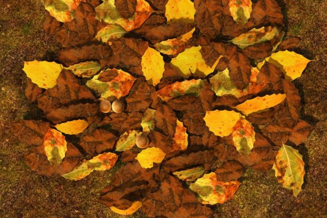 Learn All On How Long Does It Take For Leaves To Decompose - Plantisima