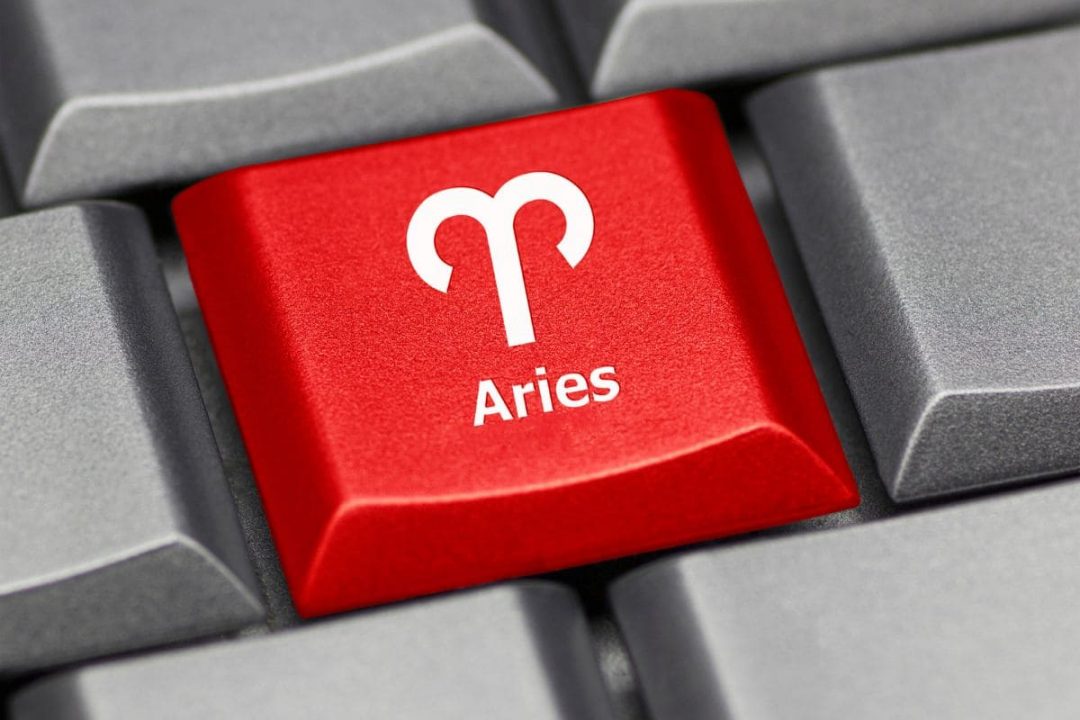Top 5 Flowers That Capture the Essence of Aries Personality - Plantisima