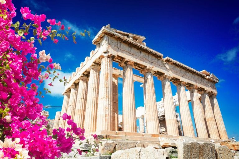 15 Flowers From Greek Mythology and Their Ancient Stories