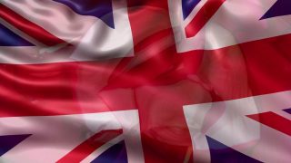 National Flower Of England: Red White Tudor Rose - Plantisima