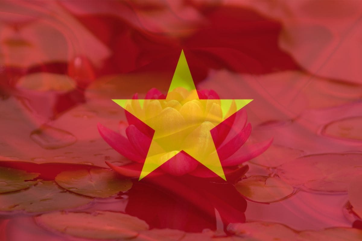 National Flower Of Vietnam: Rebirth Lotus Flower - Plantisima