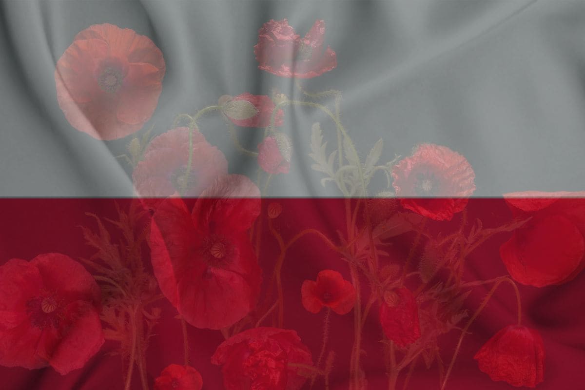 National Flower Of Poland: Red Poppies Petals - Plantisima