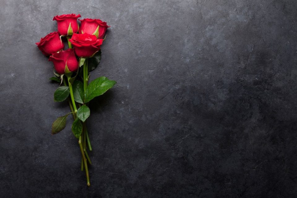 Red Roses and Their Deep Meaning in Love and Relationships - Plantisima