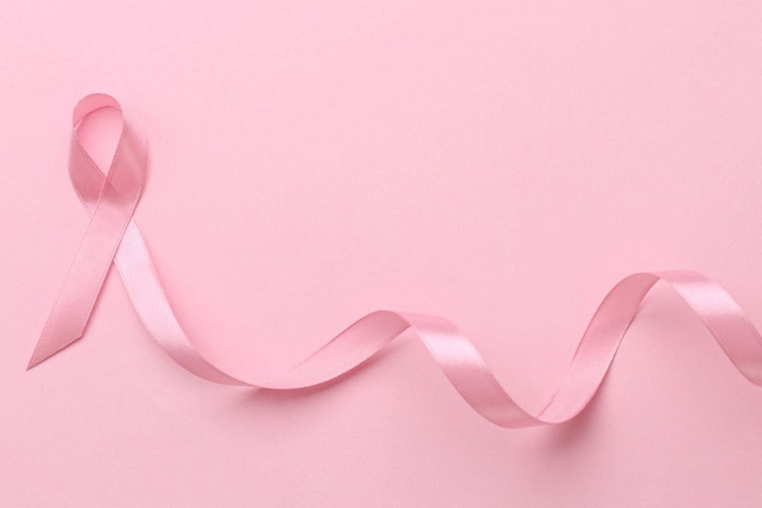 7 Beautiful Flowers to Honor and Celebrate Breast Cancer Survivors ...