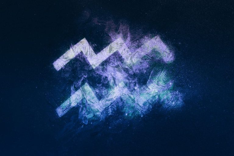 11 Perfect Flowers for Aquarius That Reflect Their Unique Spirit ...