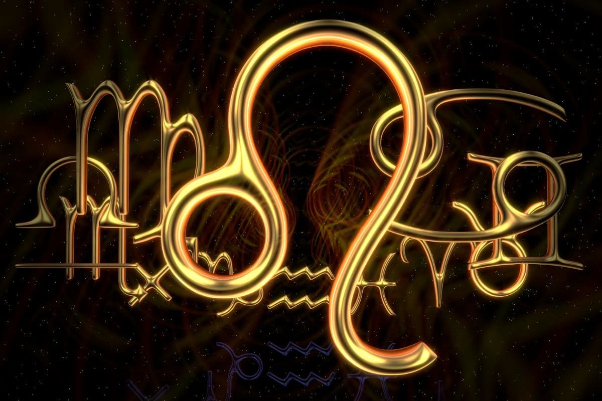 Five Warm-Toned Flowers That Perfectly Match Leo’s Fiery Energy ...