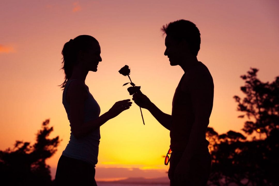 Flowers On First Date: 7 Flowers To Impress Her - Plantisima