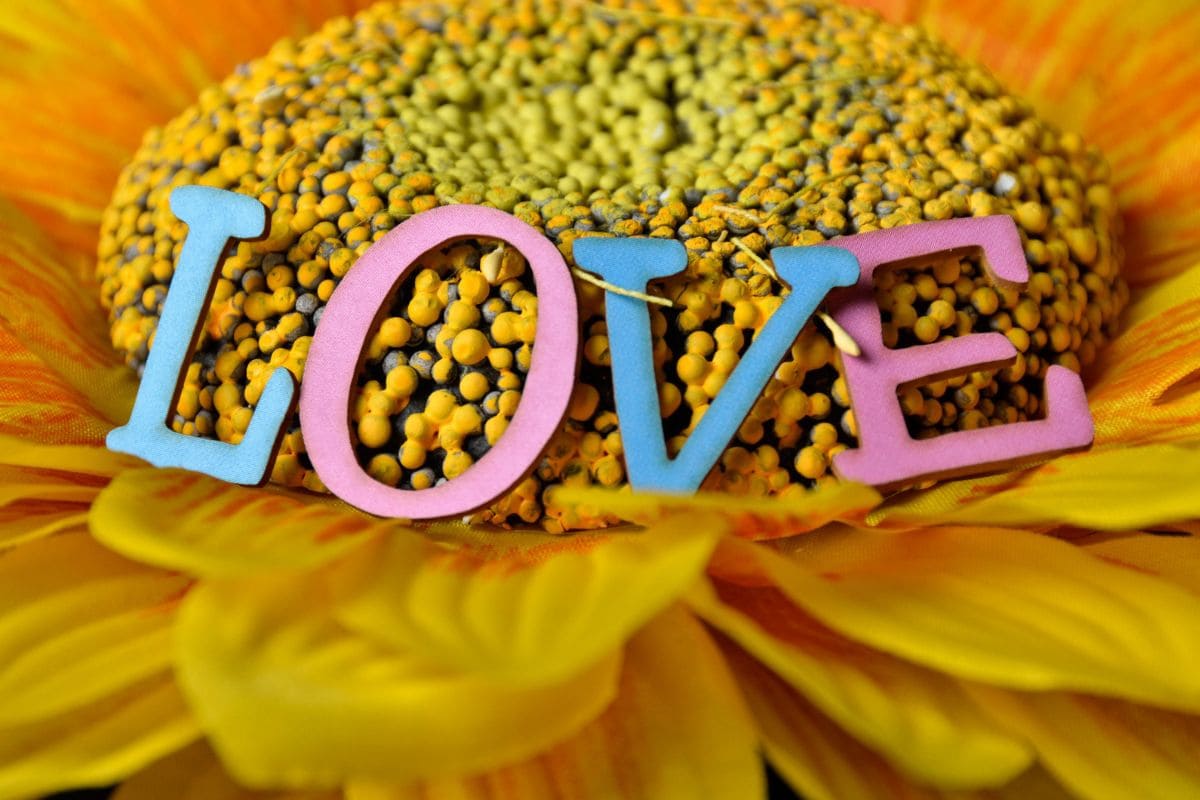 90 Quotes About Flowers And Love You'll Absolutely Adore - Plantisima