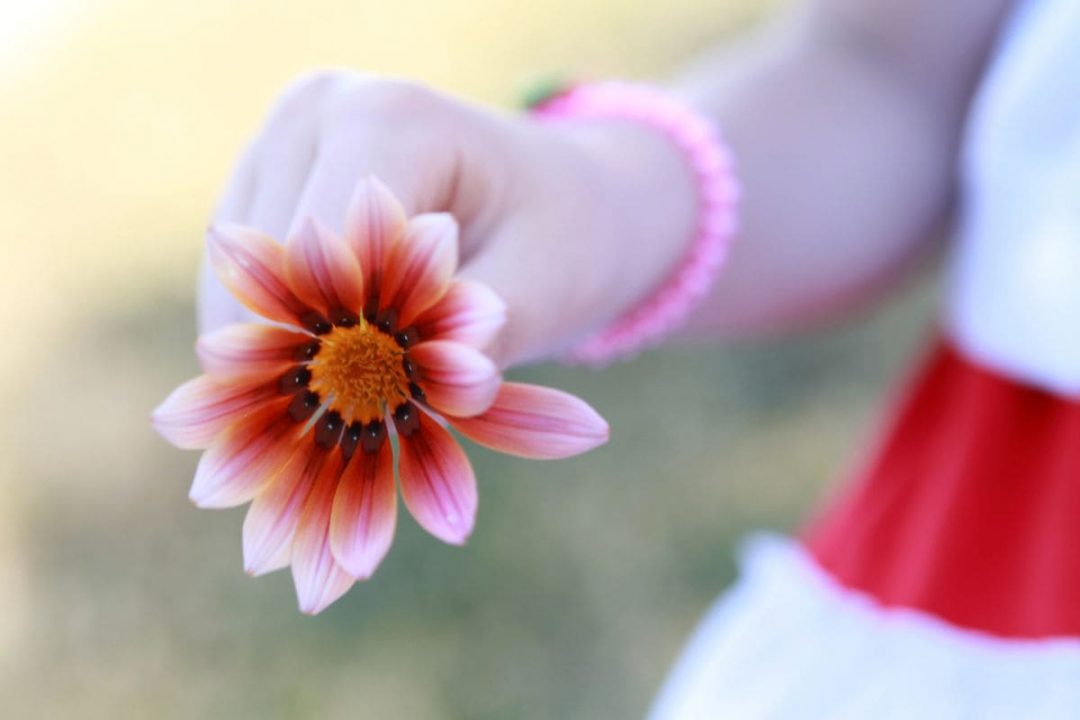 90 Quotes About Flowers And Love You'll Absolutely Adore - Plantisima