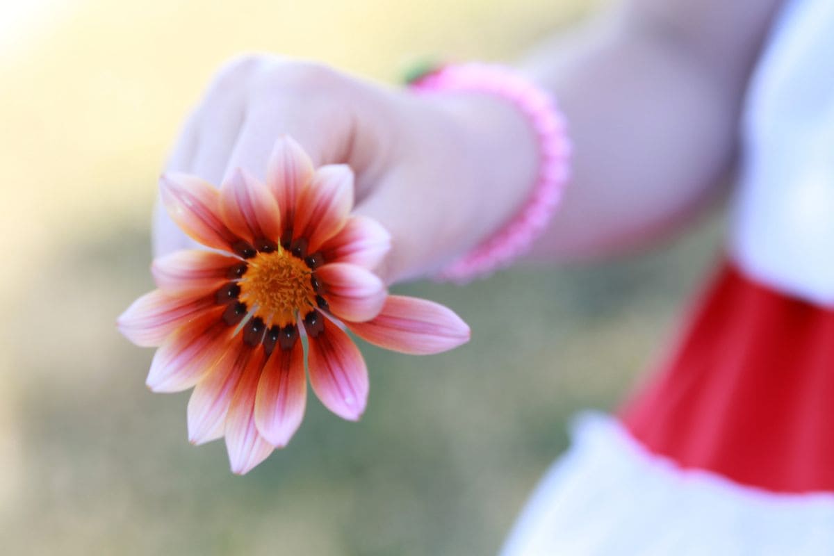 Quotes About Flowers And Love You'll Absolutely Love - Plantisima