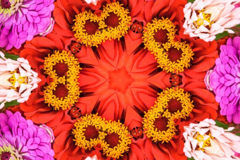 Spiritual Enlightenment In Mandala Flowers Meaning