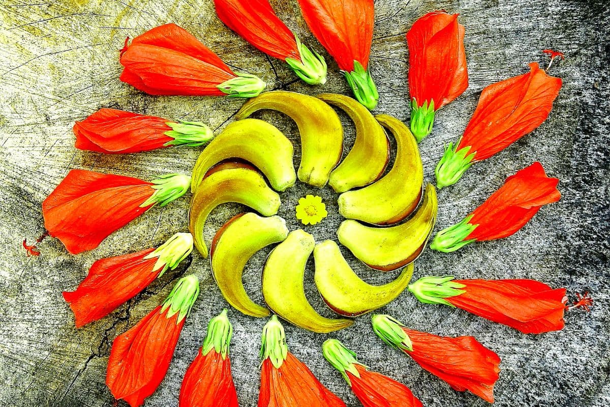 Spiritual Enlightenment In Mandala Flowers Meaning