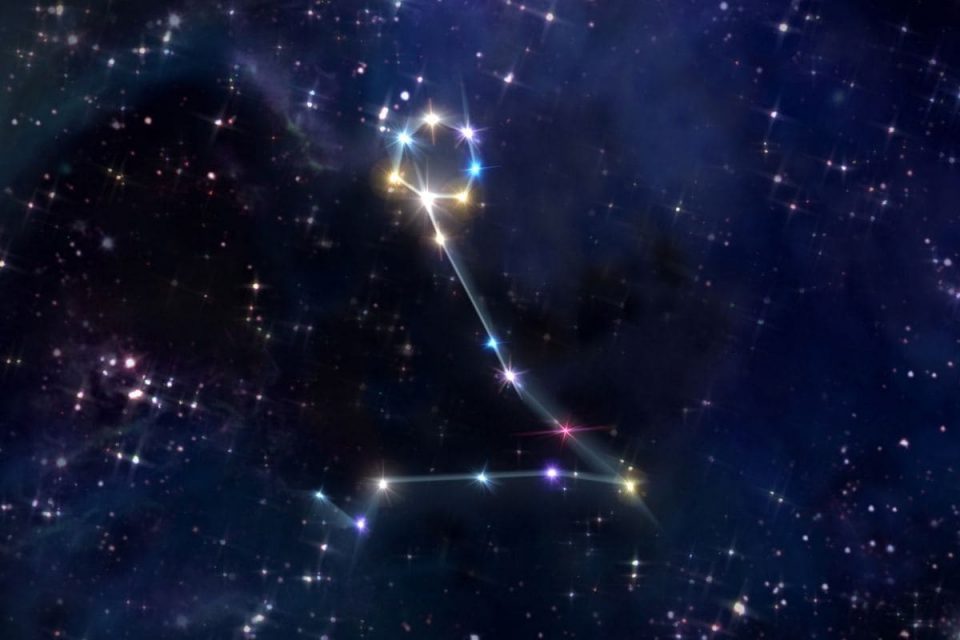 The Best 7 Flowers For Pisces - Pisces Sign Birth Flowers - Plantisima