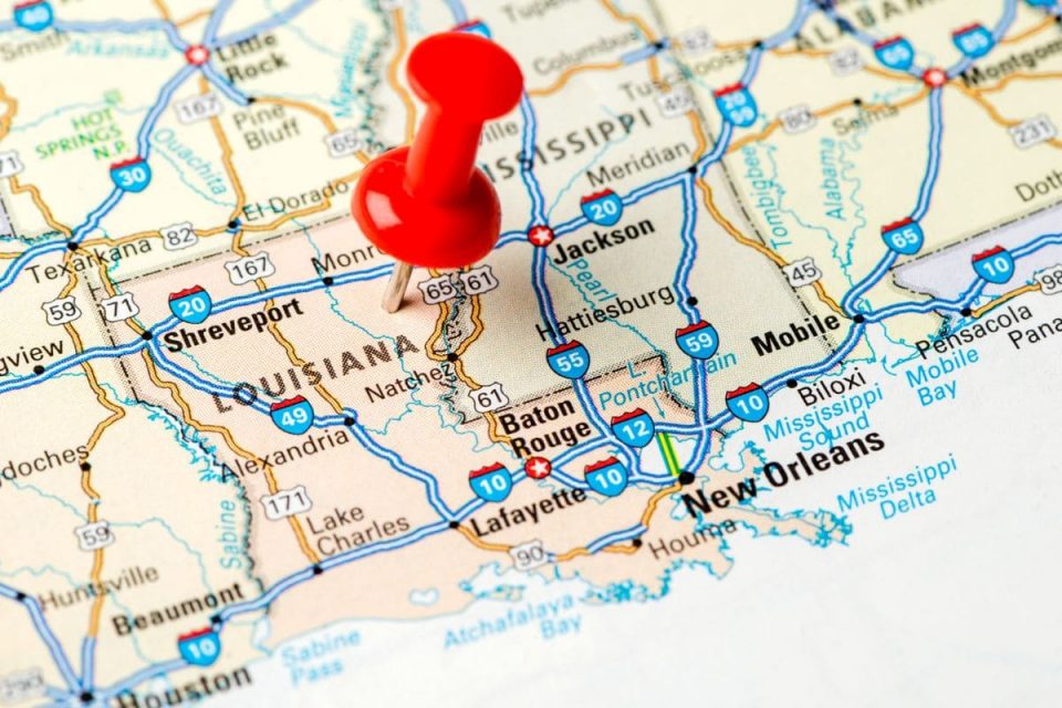 Louisiana’s Beloved Magnolia: The Story Behind the State Flower ...