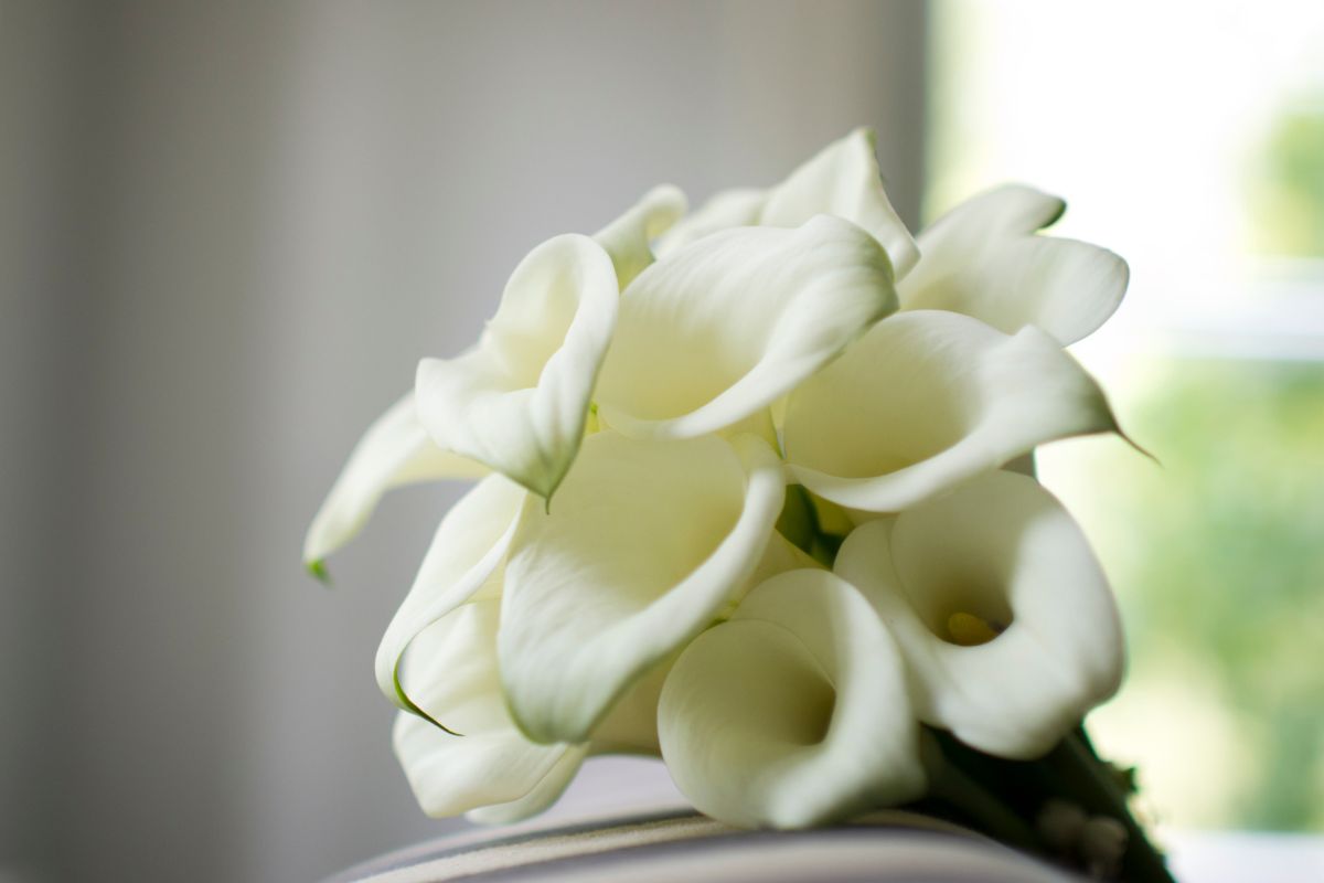 A Respectful Farewell with 9 Thoughtful Funeral Flowers for Men ...