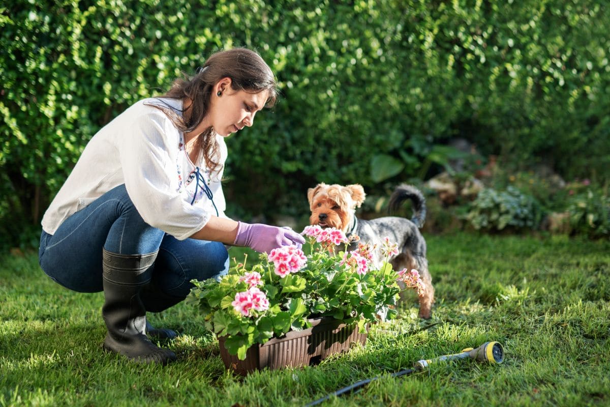 Planters Quotes: 115 Sayings For Enthusiastic Green Thumbs - Plantisima