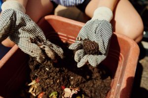 7 Potential Reasons Why Your Plant Has Black Leaves - Plantisima