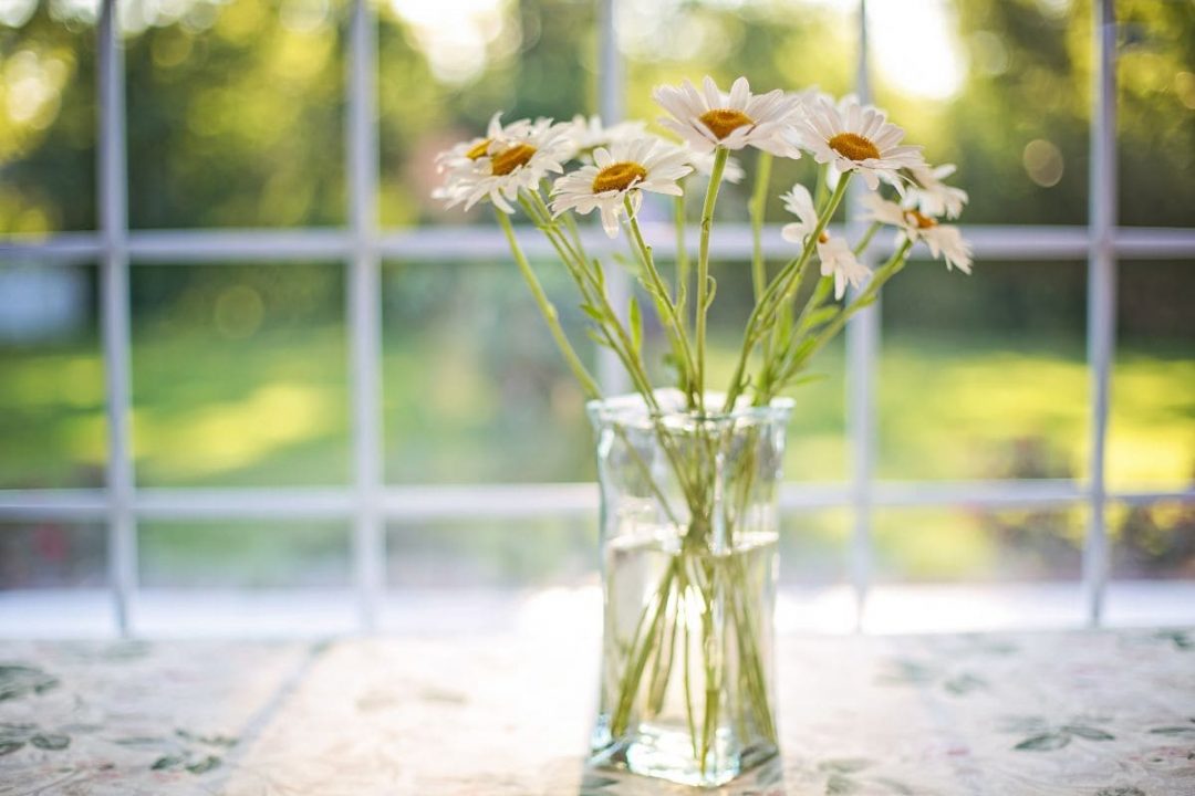 Find Inspiration in These 115 Bloom Quotes and Colorful Stories ...