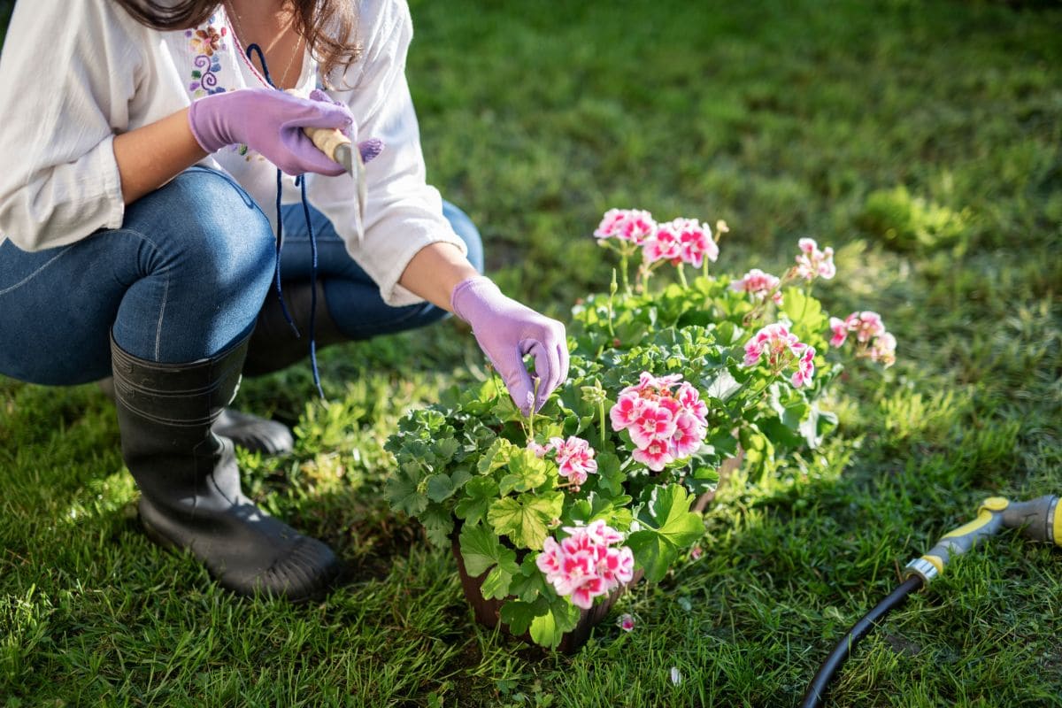 Planters Quotes: 115 Sayings For Enthusiastic Green Thumbs - Plantisima