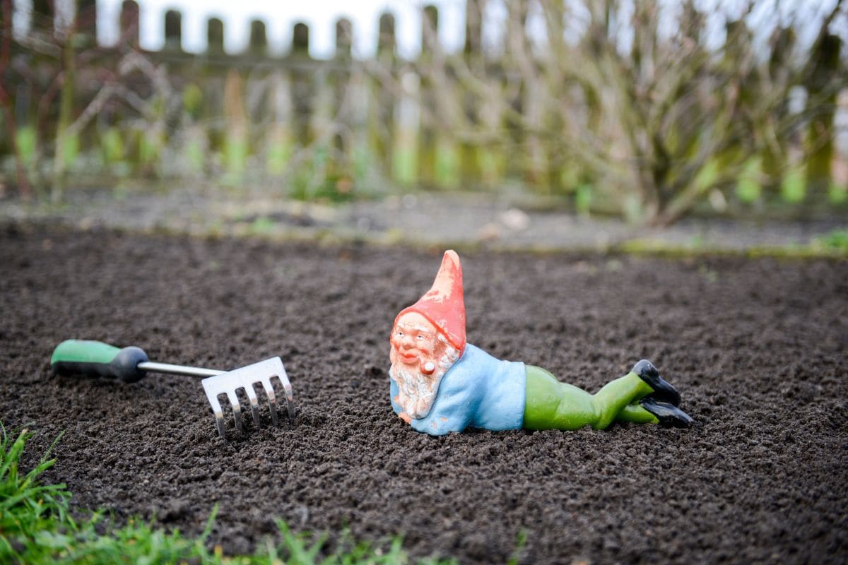 Are Gnomes Good Luck? Mythical Creatures Secret Stories - Plantisima