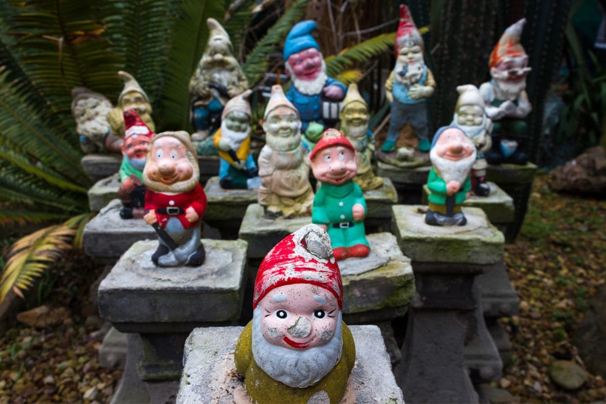 Are Gnomes Good Luck? Mythical Creatures Secret Stories - Plantisima