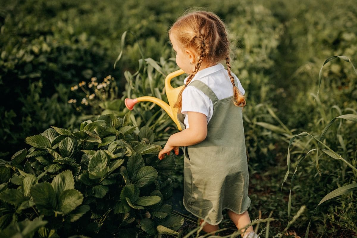 Planters Quotes: 115 Sayings For Enthusiastic Green Thumbs - Plantisima