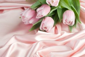 91 Tulip Quotes For All The Tulips Lovers - Plantisima
